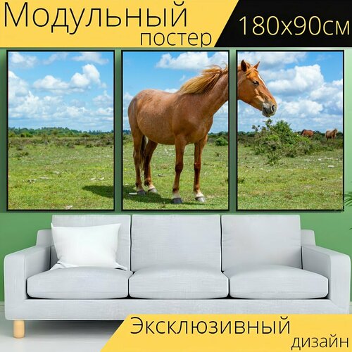 Модульный постер "Лошадь, поле, облака" 180 x 90 см. для интерьера