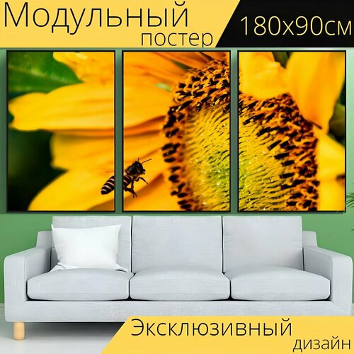 Модульный постер "Подсолнечник, природа, цветочная пыльца" 180 x 90 см. для интерьера
