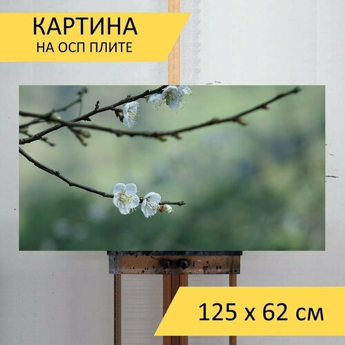 Картина на ОСП 125х62 см. "Цветение сливы, цветы, ветви" горизонтальная, для интерьера, с креплениями