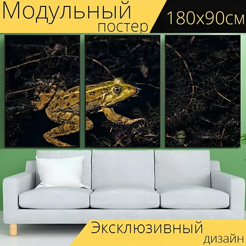 Модульный постер "Лягушка, пруд, животное" 180 x 90 см. для интерьера