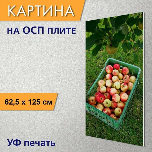 Вертикальная картина на ОСП "Сельское хозяйство, яблоко, осень" 62x125 см. для интерьериа
