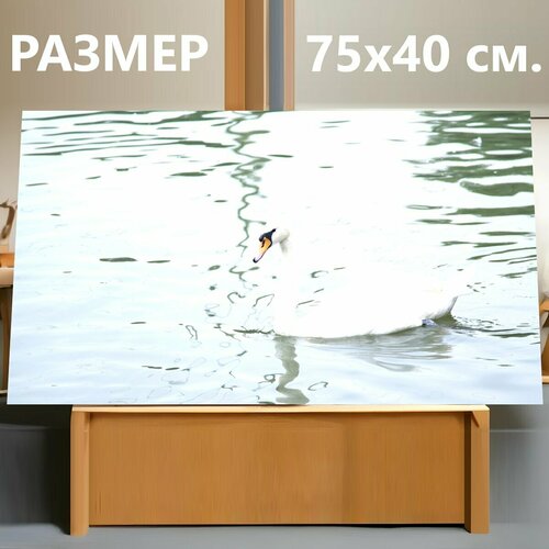 Картина на холсте "Животное, лебедь, гусь" на подрамнике 75х40 см. для интерьера