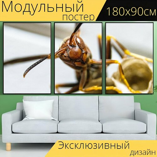 Модульный постер "Оса, насекомое, природа" 180 x 90 см. для интерьера
