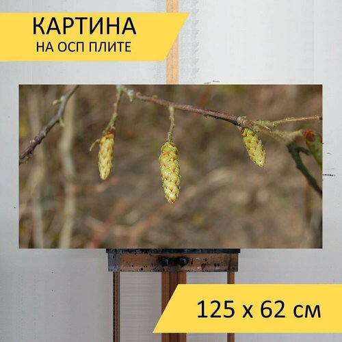 Картина на ОСП 125х62 см. "Сосновая шишка, бутон, природа" горизонтальная, для интерьера, с креплениями