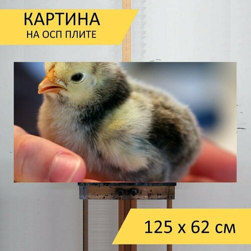 Картина на ОСП 125х62 см. "Птицы, домашняя птица, новорожденный" горизонтальная, для интерьера, с креплениями