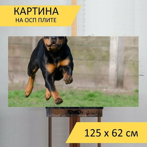 Картина на ОСП 125х62 см. "Ротвейлер, бегущая собака, прыгнуть" горизонтальная, для интерьера, с креплениями