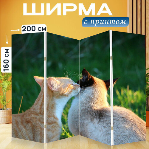Ширма перегородка с принтом "Кот, котенок, красный полосатый" на холсте - 200x160 см. для зонирования, раскладная