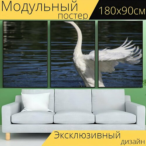 Модульный постер "Птица, лебедь, утиные" 180 x 90 см. для интерьера