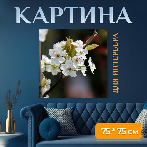 Картина на холсте "Весна, вишни в цвету, цветок" на подрамнике 75х75 см. для интерьера