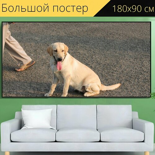 Большой постер "Собака, дом, щенок" 180 x 90 см. для интерьера