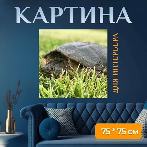 Картина на холсте "Черепаха в траве, черепаха, каймановая черепаха" на подрамнике 75х75 см. для интерьера
