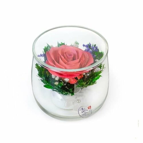 Стабилизированные цветы в стекле "Мини Роуз" | композиция из белой розы в вакууме