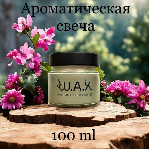 Свеча ароматическая 100 мл"Ванильный пудинг" / Wild aroma experience свеча в стеклянной банке