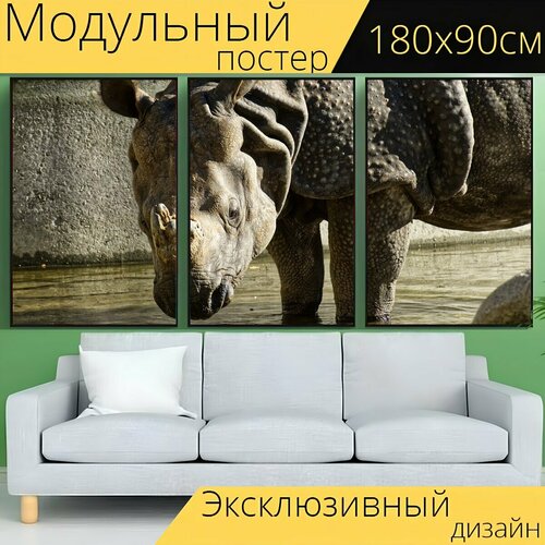 Модульный постер "Носорог, животное, дикая природа" 180 x 90 см. для интерьера