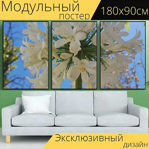 Модульный постер "Цветы, весна, природа" 180 x 90 см. для интерьера