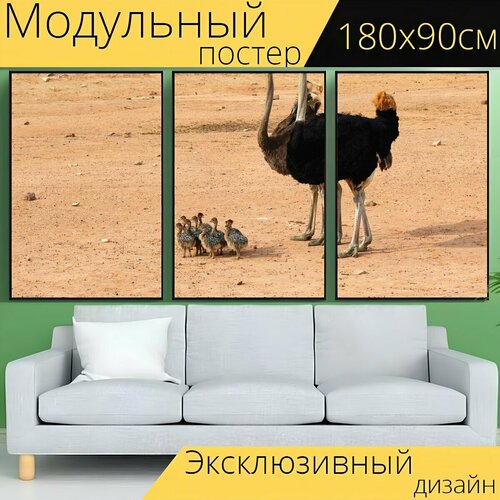 Модульный постер "Страус, страусов, экзотические животные" 180 x 90 см. для интерьера