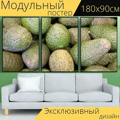 Модульный постер "Авокадо, зеленый, овощи" 180 x 90 см. для интерьера