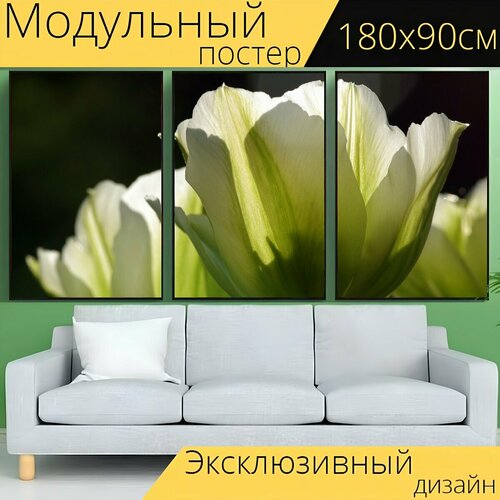 Модульный постер "Тюльпаны, зеленый, скидка" 180 x 90 см. для интерьера