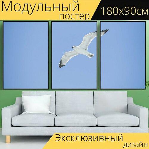 Модульный постер "Птица, чайка, относящийся к окружающей среде" 180 x 90 см. для интерьера