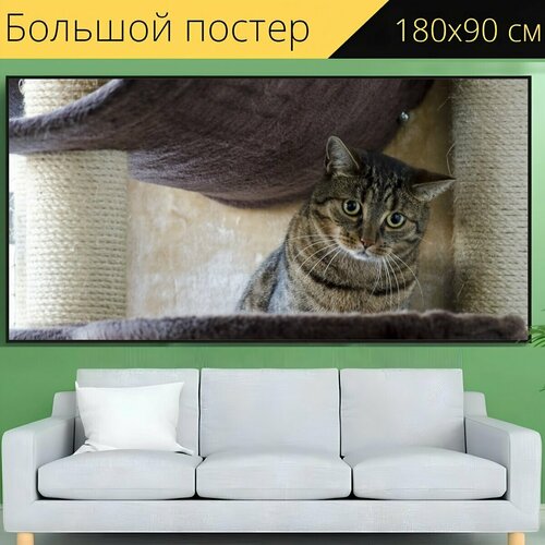 Большой постер "Кошка, котенок, домашняя кошка" 180 x 90 см. для интерьера
