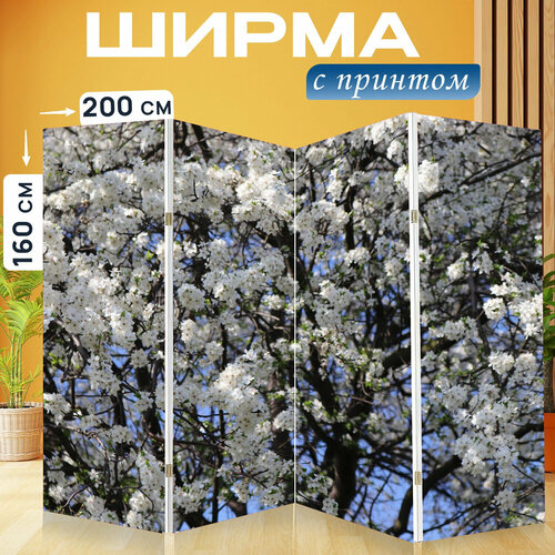 Ширма перегородка с принтом "Весна, белый, дерево" на холсте - 200x160 см. для зонирования, раскладная