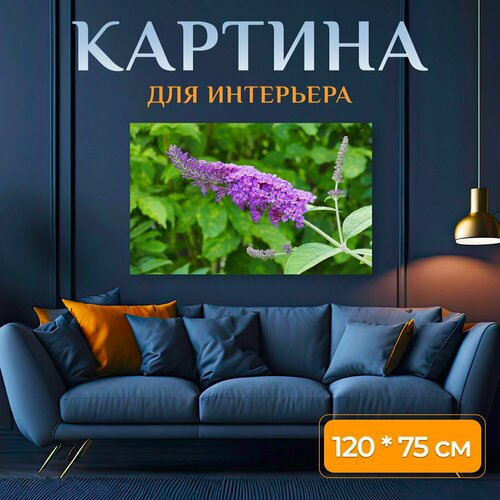 Картина на холсте "Цветы, листья, лепестки" на подрамнике 120х75 см. для интерьера