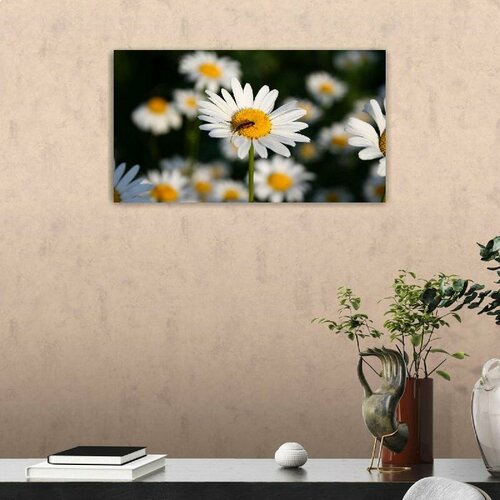 Картина на холсте 60x110 LinxOne "Ромашки, цветы, макро" интерьерная для дома / на стену / на кухню / с подрамником