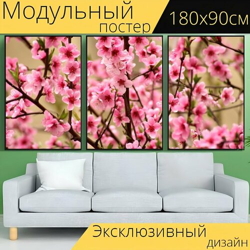 Модульный постер "Фруктовое дерево, розовые цветы, весна" 180 x 90 см. для интерьера