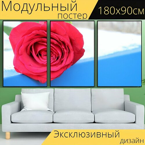 Модульный постер "Красная роза, символ любви, синий" 180 x 90 см. для интерьера