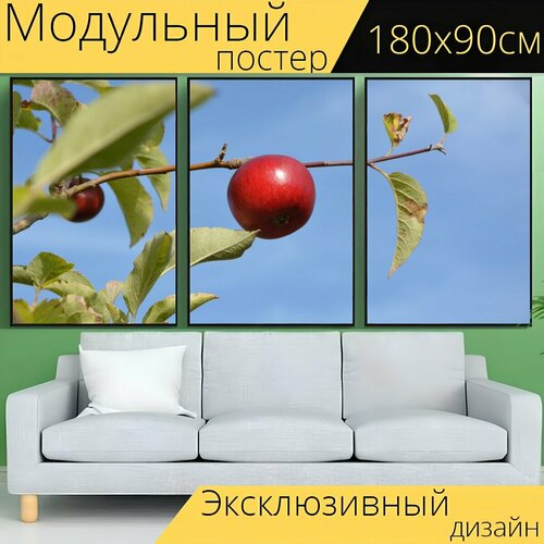 Модульный постер "Красное яблоко, фруктовый сад, фрукты" 180 x 90 см. для интерьера