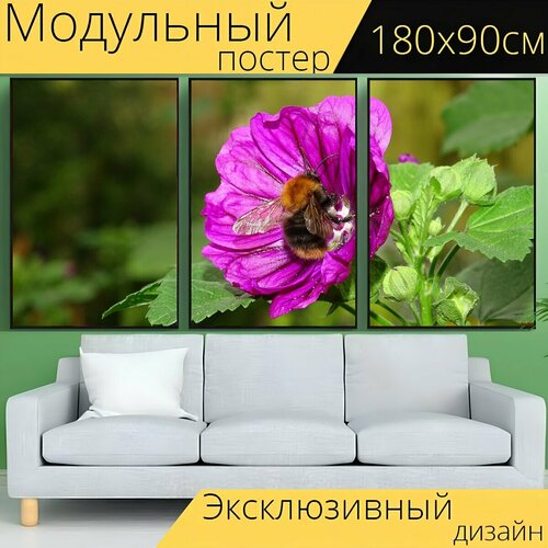 Модульный постер "Цветок, пчела, природа" 180 x 90 см. для интерьера