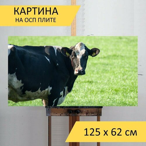 Картина на ОСП 125х62 см. "Корова, крупный рогатый скот, ферма" горизонтальная, для интерьера, с креплениями
