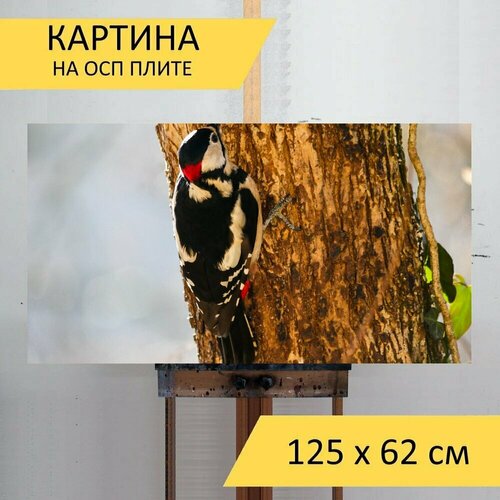 Картина на ОСП 125х62 см. "Дикая природа, птица, дятел" горизонтальная, для интерьера, с креплениями