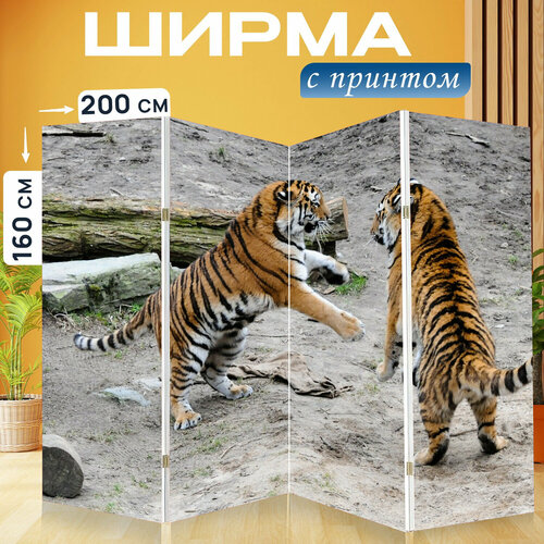 Ширма перегородка с принтом "Тигр, зоопарк, большой кот" на холсте - 200x160 см. для зонирования, раскладная
