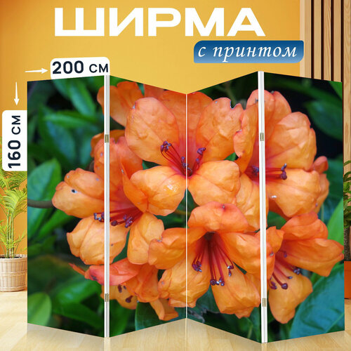 Ширма перегородка с принтом "Цветок, расцветает, апельсин" на холсте - 200x160 см. для зонирования, раскладная