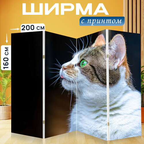 Ширма перегородка с принтом "Кот, глаза, животное" на холсте - 200x160 см. для зонирования, раскладная