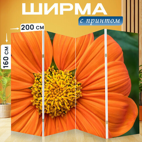 Ширма перегородка с принтом "Цветок, апельсин, лепестки" на холсте - 200x160 см. для зонирования, раскладная