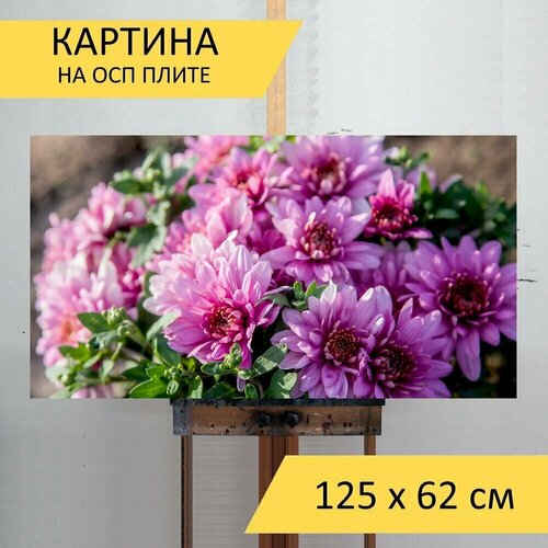 Картина на ОСП 125х62 см. "Хризантема, цветы, завод" горизонтальная, для интерьера, с креплениями