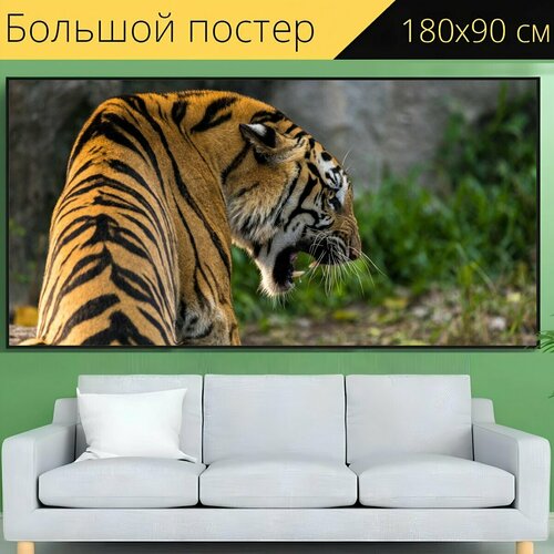 Большой постер "Тигр, кот, большой кот" 180 x 90 см. для интерьера