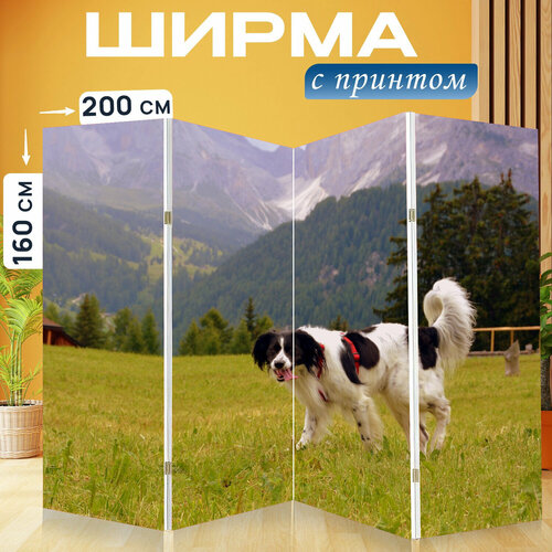 Ширма перегородка с принтом "Усталость, собака, животное" на холсте - 200x160 см. для зонирования, раскладная