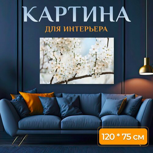 Картина на холсте "Вишни в цвету, цветы, лепестки" на подрамнике 120х75 см. для интерьера