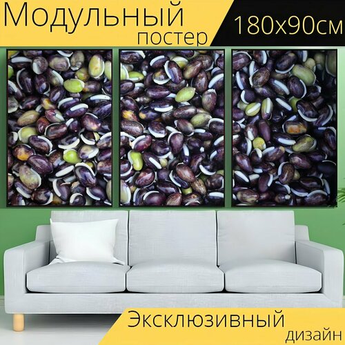 Модульный постер "Кукуруза, еда, семена" 180 x 90 см. для интерьера