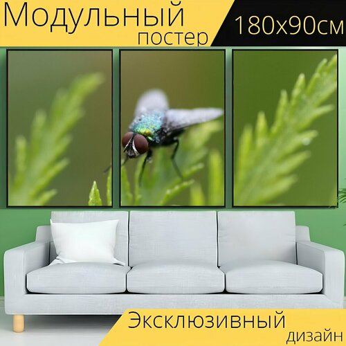 Модульный постер "Летать, составные глаза, насекомое" 180 x 90 см. для интерьера