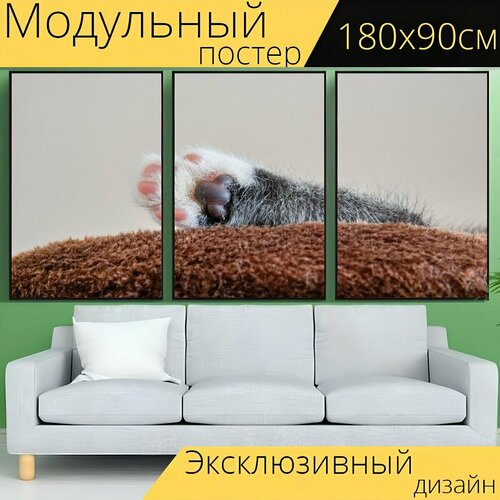 Модульный постер "Лапа, закрывать, макрос" 180 x 90 см. для интерьера