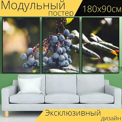 Модульный постер "Черника, фрукты, дерево" 180 x 90 см. для интерьера
