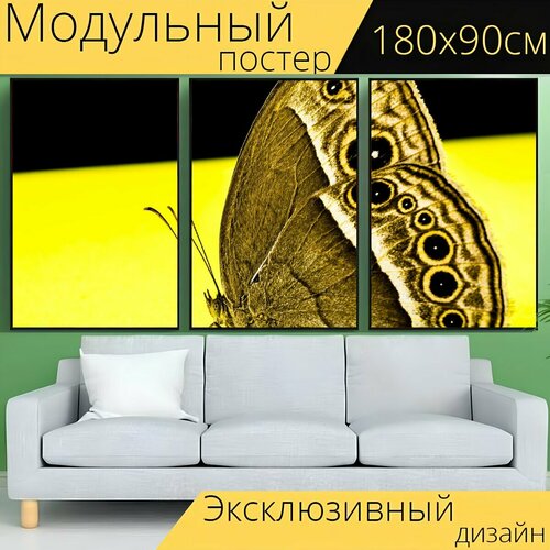 Модульный постер "Бабочка, насекомое" 180 x 90 см. для интерьера