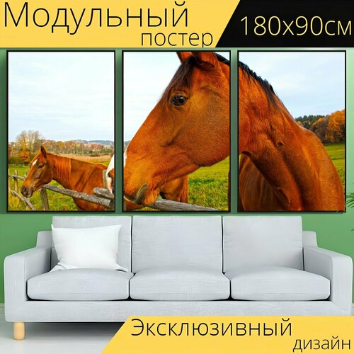 Модульный постер "Лошадь, коричневый, лиса" 180 x 90 см. для интерьера