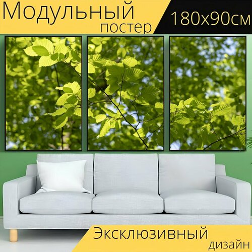Модульный постер "Листья, лес, зеленый" 180 x 90 см. для интерьера