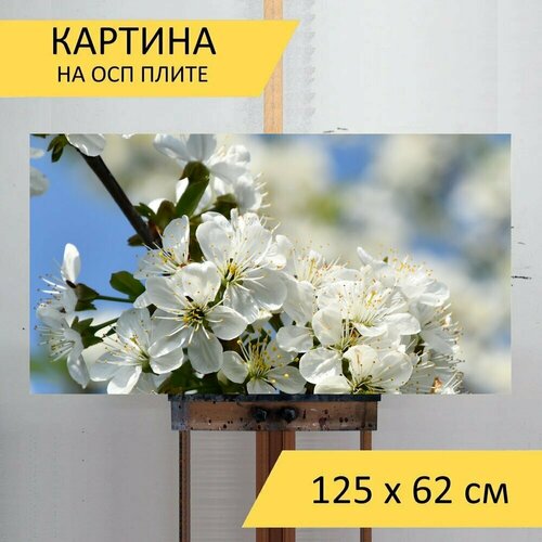Картина на ОСП 125х62 см. "Белые цветки, цветение вишни, сакура" горизонтальная, для интерьера, с креплениями