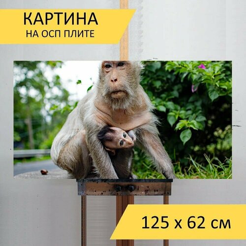 Картина на ОСП 125х62 см. "Обезьяна, примат, детка" горизонтальная, для интерьера, с креплениями